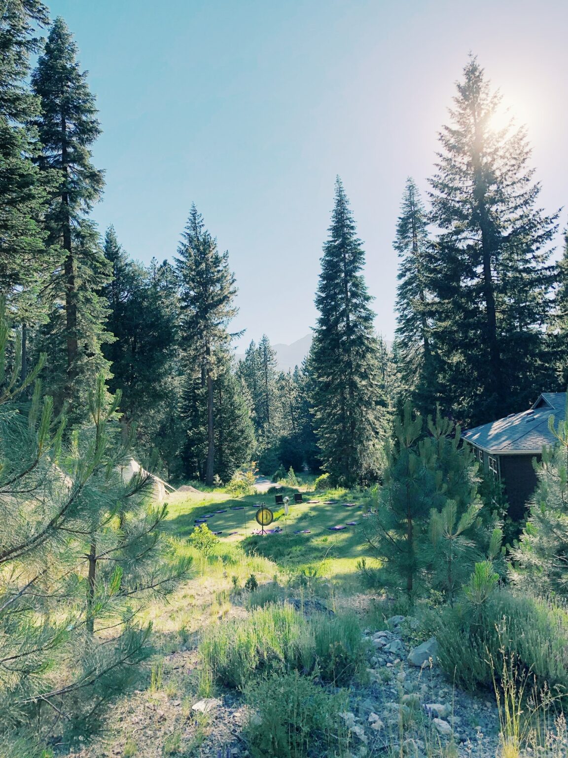 Temple Priestess Art's :: Mount Shasta Womb Healing Retreat